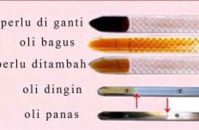 Warna Oli Mobil Yang Harus Diganti - PinterMekanik